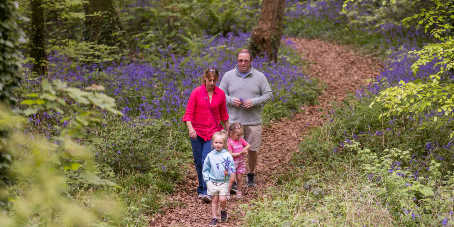 Things To Do - Offaly